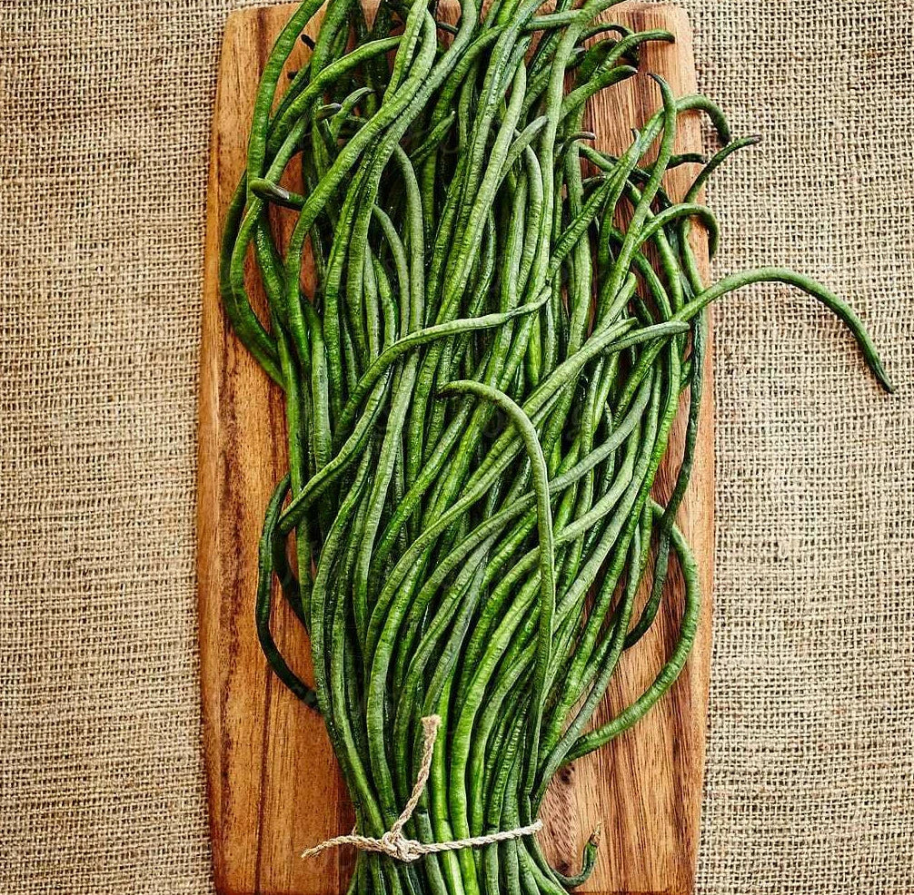 Yard Long Bean Seeds | Asian Asparagus Green Beans | Vigna unguiculata ...