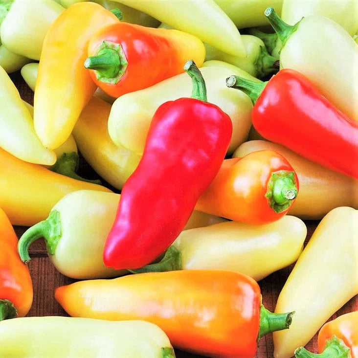 Santa Fe Grande Pepper Seeds - 100+ Count - Mild Yellow Pepper ...