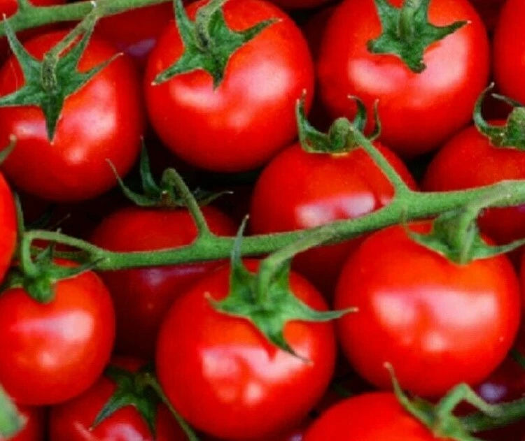 Large Red Cherry Tomato Seeds 100+ Indeterminate Garden Vegetables, So ...