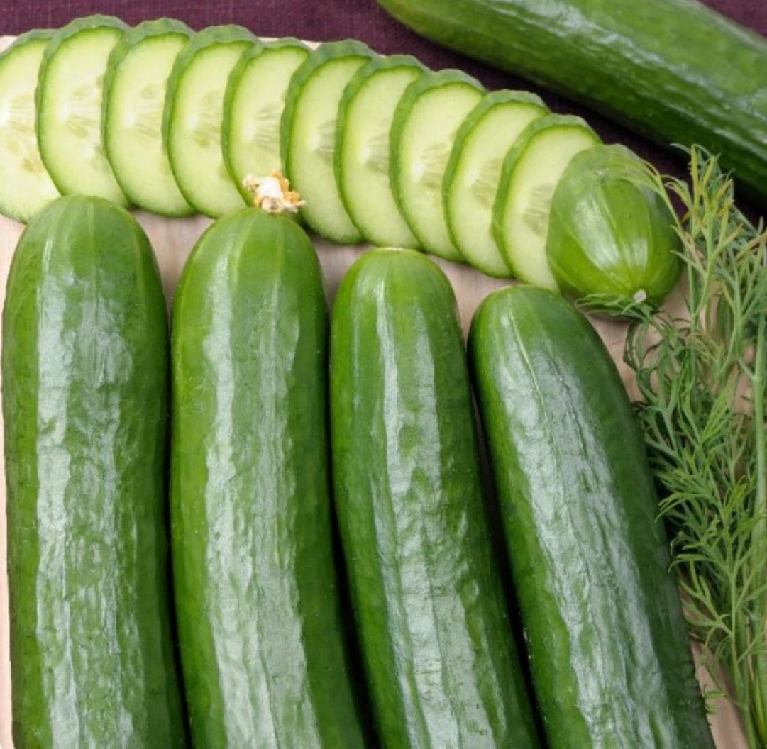 Cucumber Seeds 300 Count | Straight Eight Heirloom Vegetable | Award ...