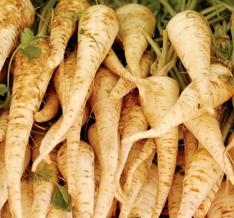 Harris Early Model Parsnip Seeds | White Root Vegetable Seeds | Daucus ...