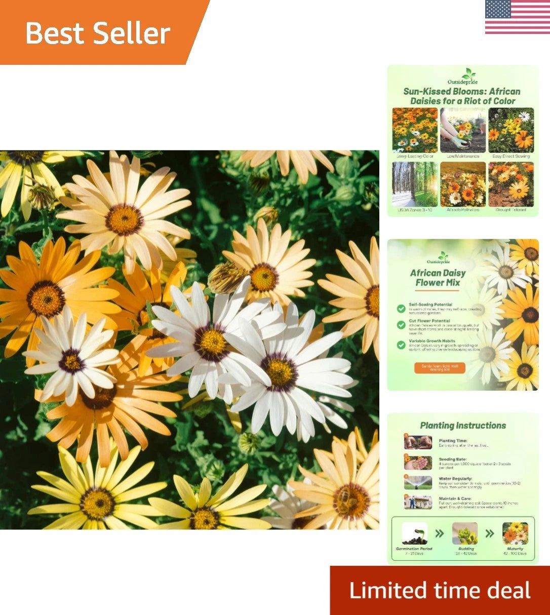 Heirloom African Daisy Seeds - 1/4 lb - Easy-to-Grow Annuals for ...