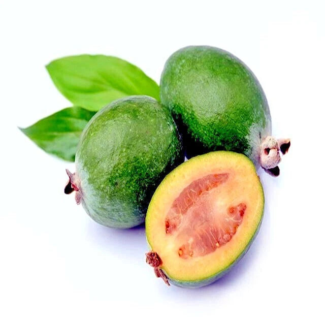 Pineapple Guava Tree Seeds, 20 Pack, Brazilian Fig Guava, Tropical ...