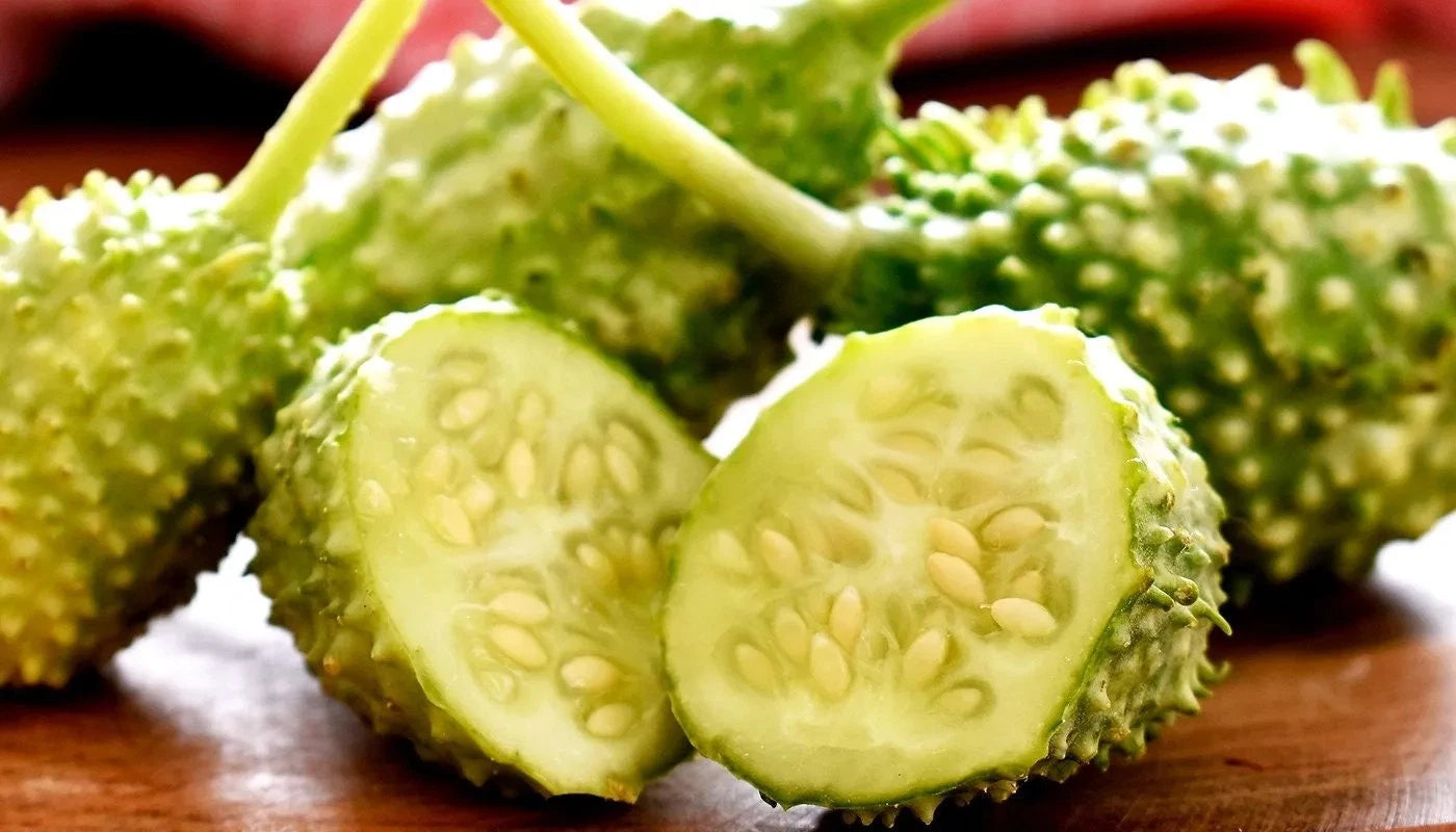 West Indian Gherkin Seeds - 100+ Burr Spike Cucumber Seeds - Cucumis ...