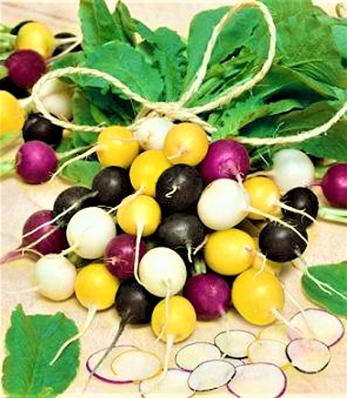 Halloween Mix Radish Seeds - 100+ Non-GMO Seeds - Colorful Variety for ...