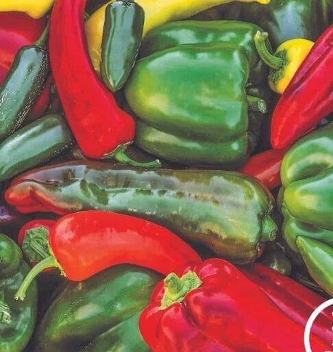 Sweet & Spicy Pepper Mix Seeds - 120+ Variety Pack - Non-GMO Heirloom ...