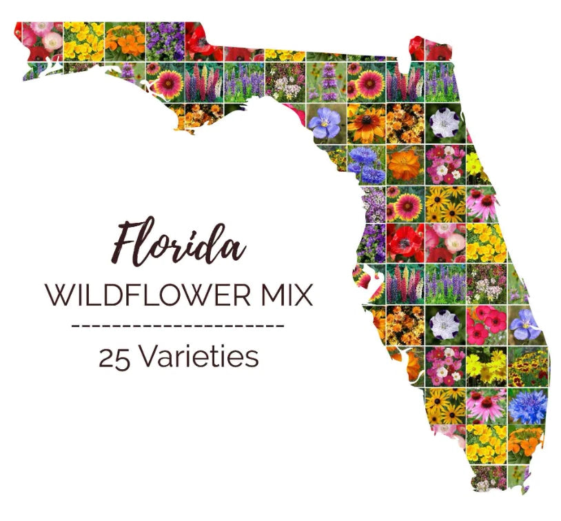 Wildflower Seed Mix - 1000 Seeds - Florida Perennials & Annuals - Non ...
