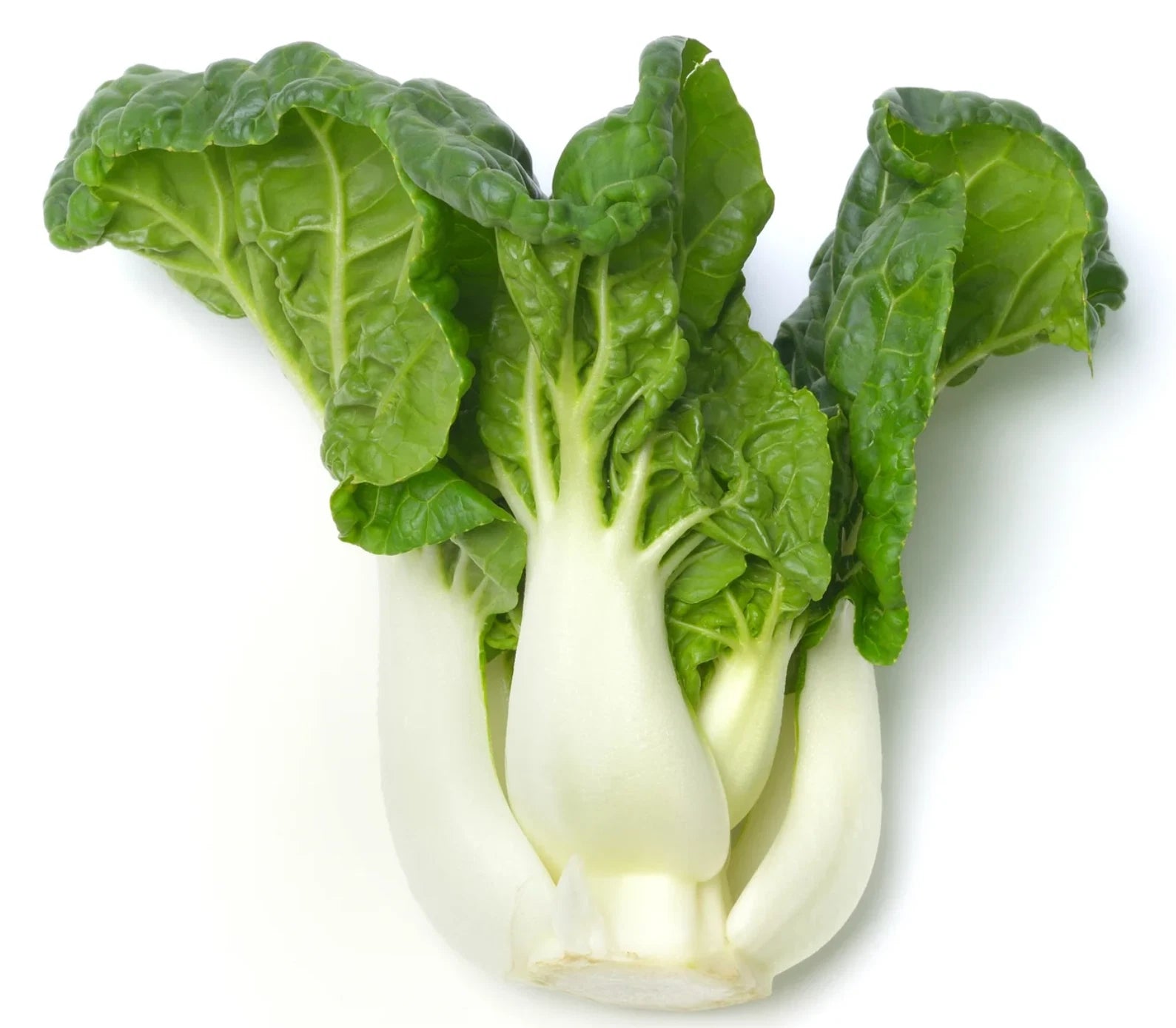 Pak Choi Seeds | Canton White Stem Chinese Cabbage | Fast Growing Vege ...