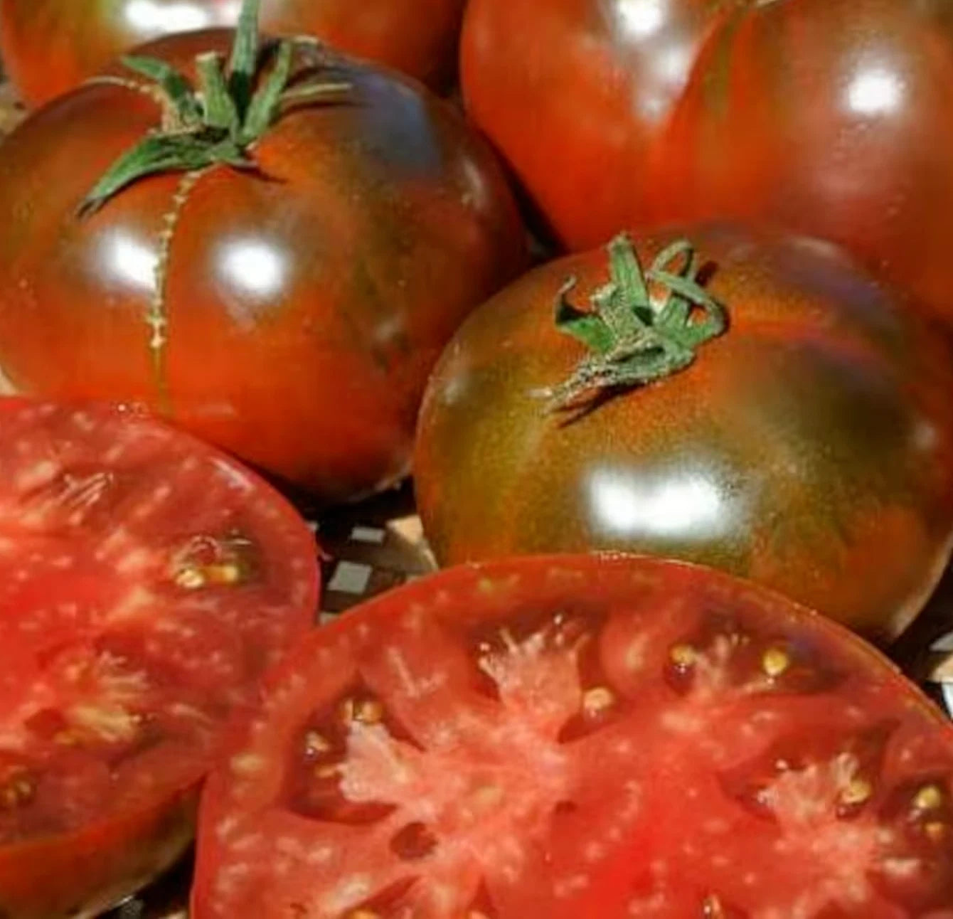 Paul Robeson Tomato Seeds 100+ Indeterminate Beefsteak Vegetable Seeds ...