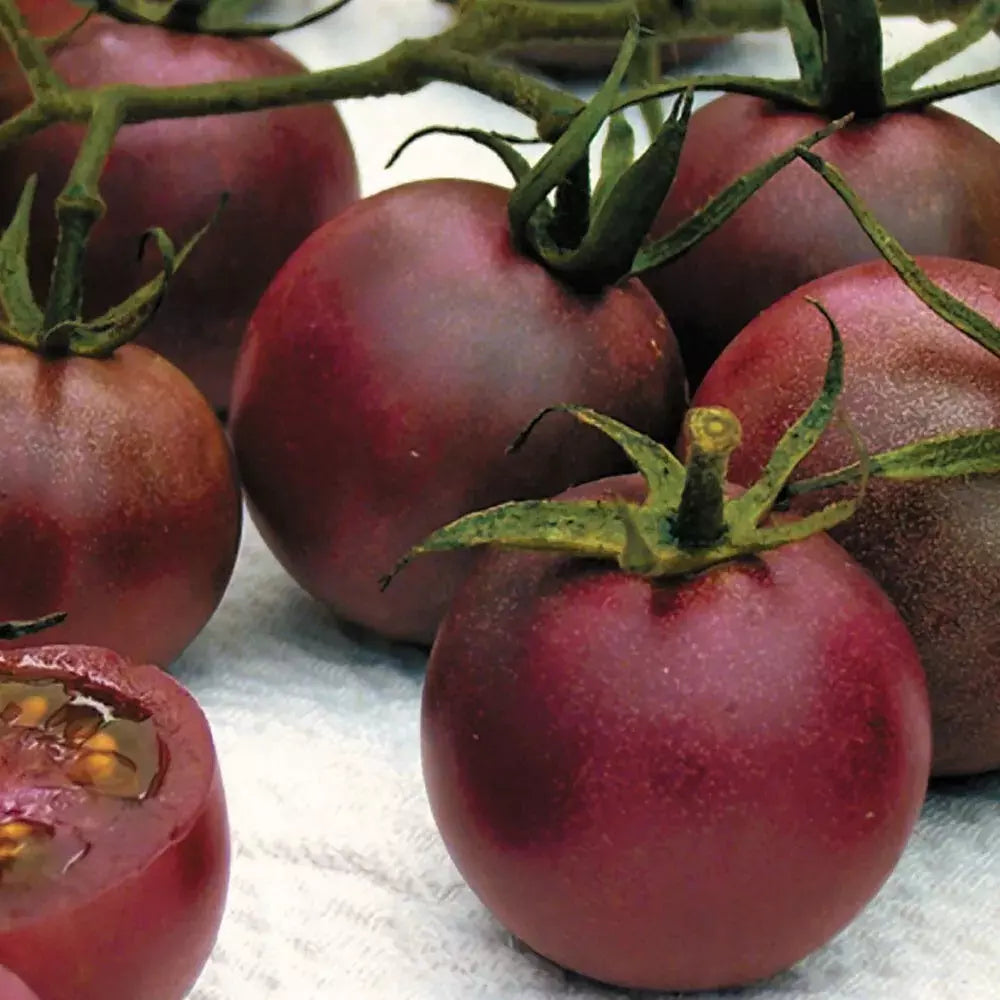 Chocolate Cherry Tomato Seeds - 10+ Heirloom Organic Seeds - Super ...