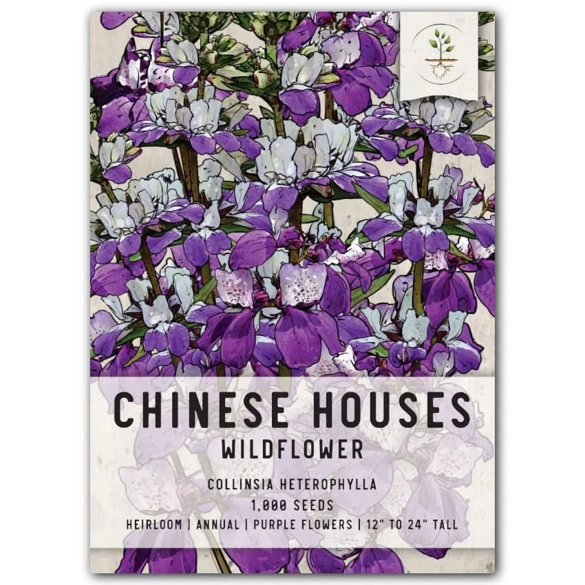 Chinese Houses Seeds for Planting - Collinsia heterophylla - Colorful ...