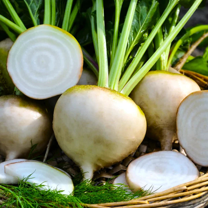 White Albino Beet Seeds - Mangel Turnip Variety for 2025 Planting ...