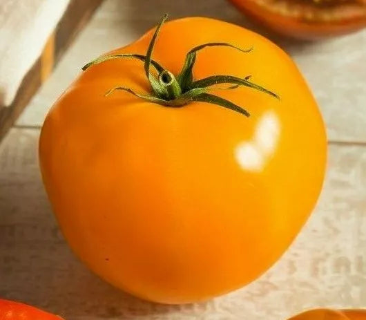 Golden Jubilee Tomato Seeds, 100+ Count, Heirloom Garden Vegetable, So ...