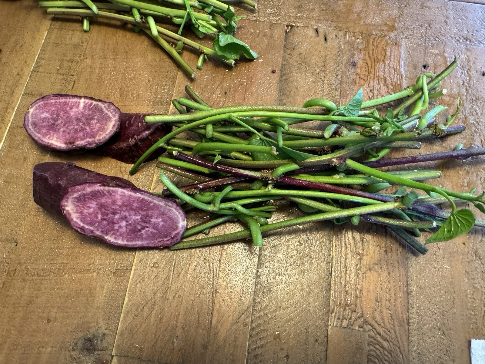 Japanese Molokai Purple Sweet Potato Slips Ipomoea Batatas 25 Slip Cut ...