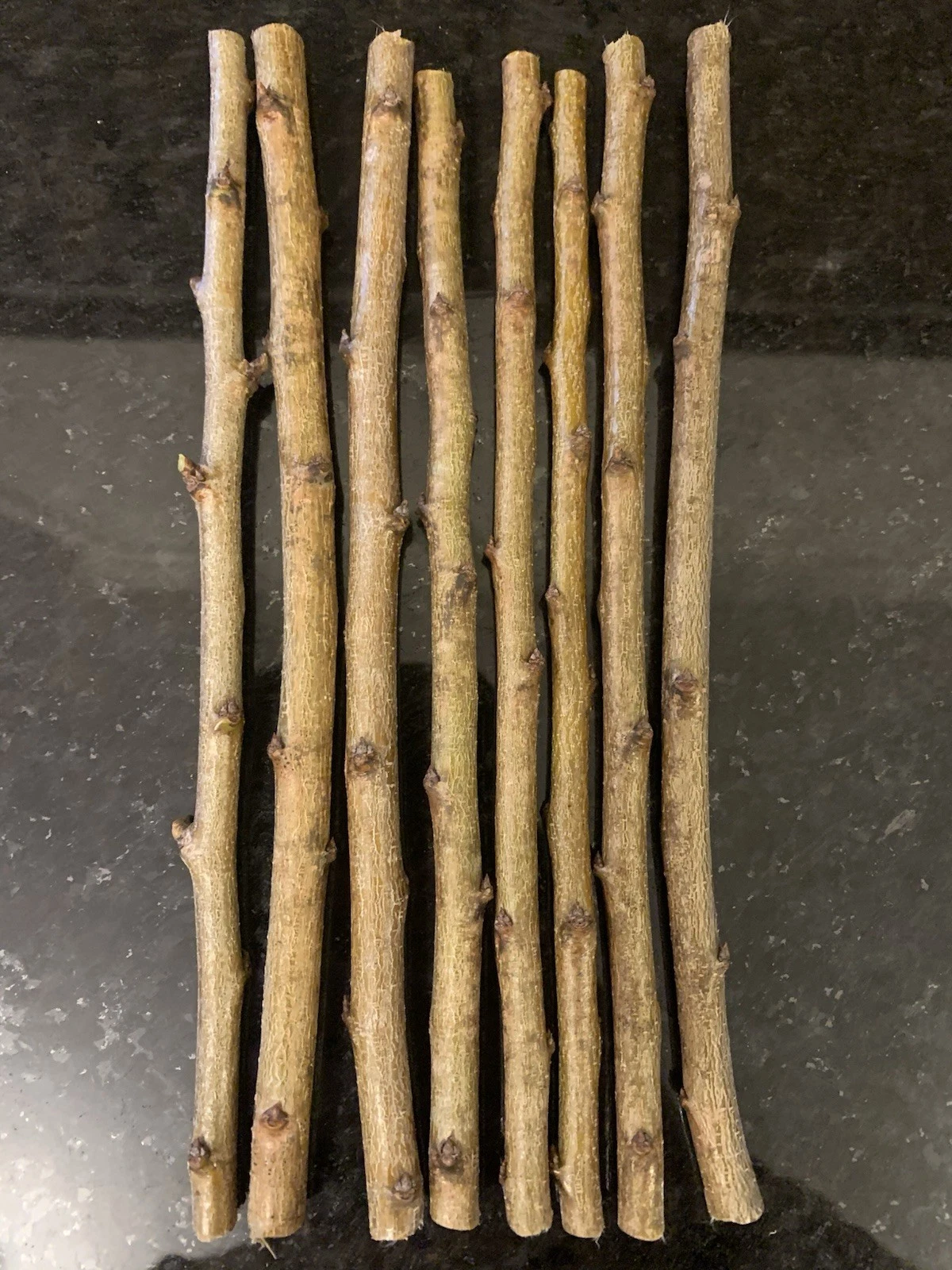 3 Methley Plum Cuttings Scions Prunus Salicina Unrooted for Grafting F ...