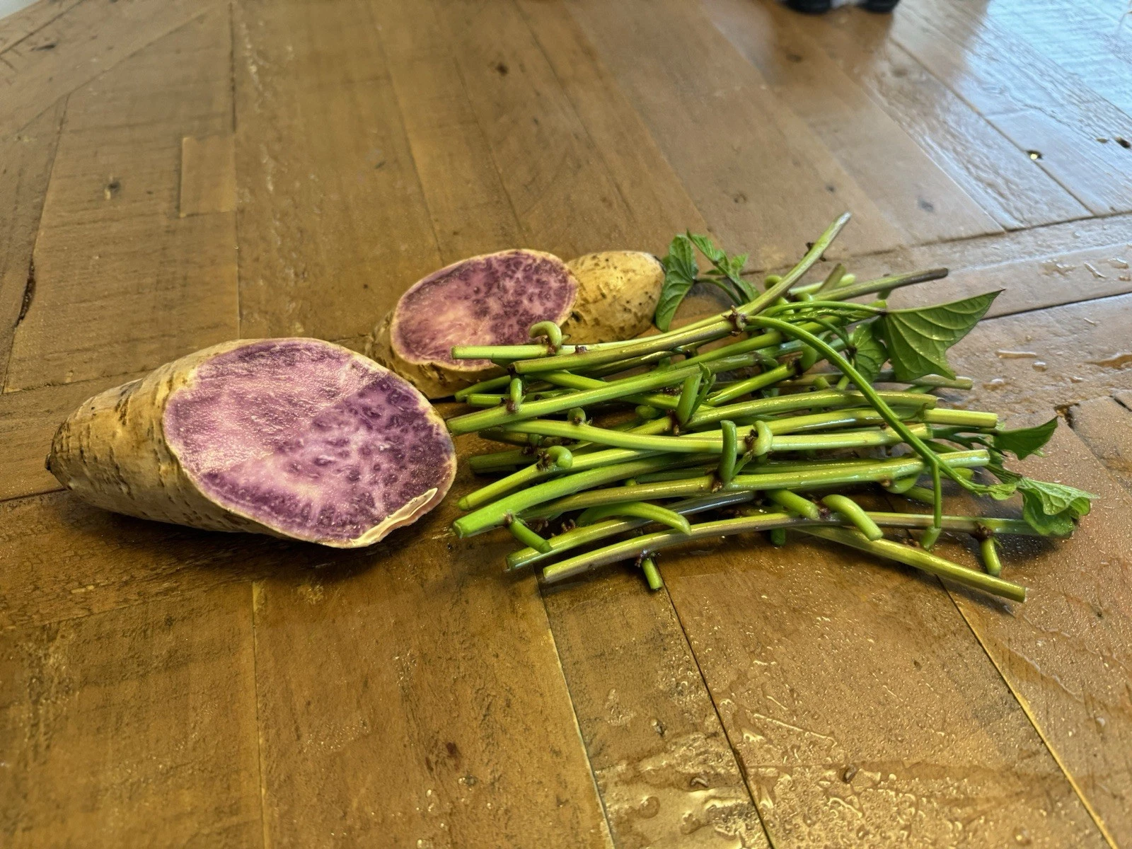 Okinawa Purple Sweet Potato Slips – 15 Japanese Sweet Potato Vine Cutt ...